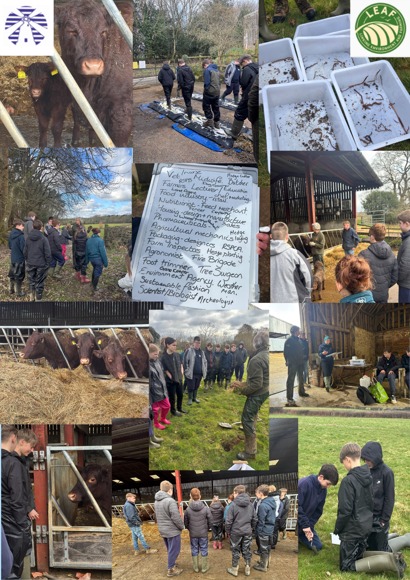 Black Ven Farm Visit - School News - Chailey School