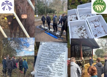 Welcome to Chailey School